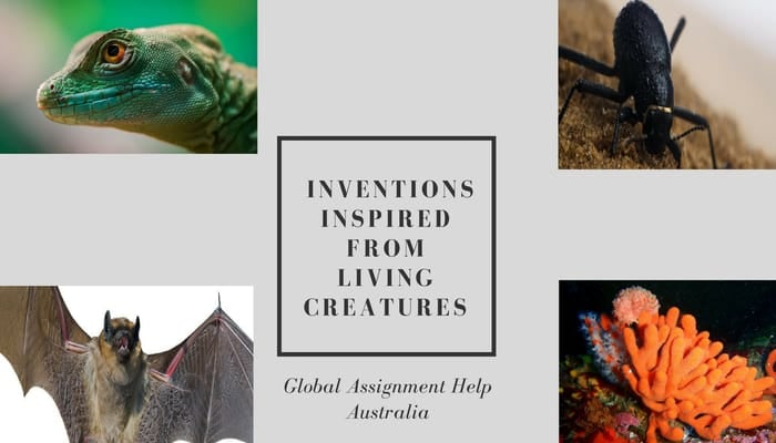 Know How Living Organisms Inspired Important Inventions