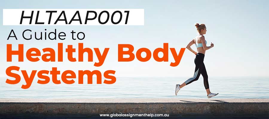 HLTAAP001 Assessment Answers | Recognise Healthy Body Systems